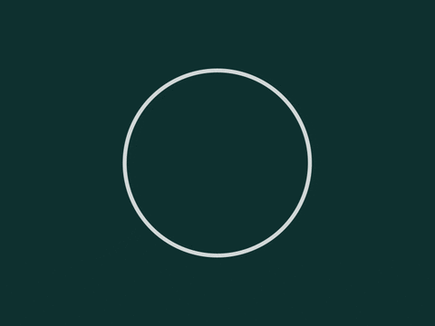 Loop Circle GIF - Find & Share on GIPHY