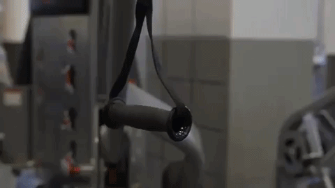 Fitness Workout GIF by FSU Campus Rec - Find & Share on GIPHY