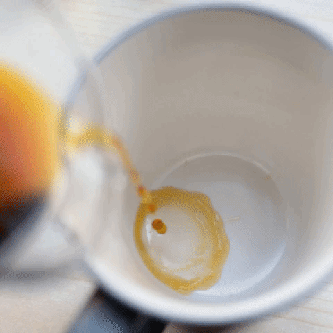 Coffee Brew GIF - Find & Share on GIPHY