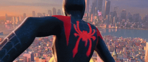 Spider Man GIF By Spider Man Into The Spider Verse Find Share On GIPHY Spider Man GIF By Spider Man Into The Spider Verse Find Share On GIPHY