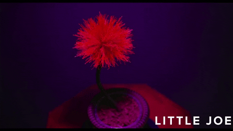 Unsettling Ben Whishaw GIF by Magnolia Pictures - Find & Share on GIPHY