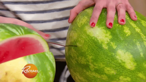 Fruit Watermelon GIF by Rachael Ray Show - Find & Share on GIPHY
