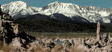 Fall Together Alternative Music GIF by The Temper Trap - Find & Share ...