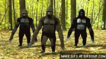 Gorillas GIF - Find & Share on GIPHY