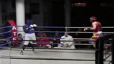 Martial Arts Fighting GIF by Casol - Find & Share on GIPHY