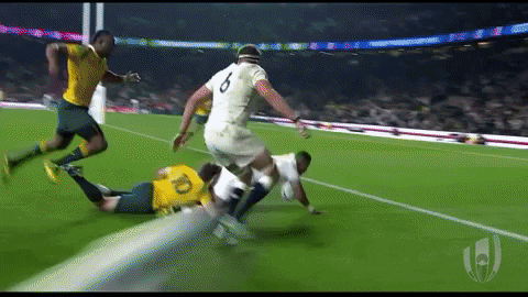 England Rugby Sport GIF by Rugby World Cup - Find & Share on GIPHY