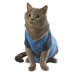 Prince Michael What Sticker for iOS & Android | GIPHY