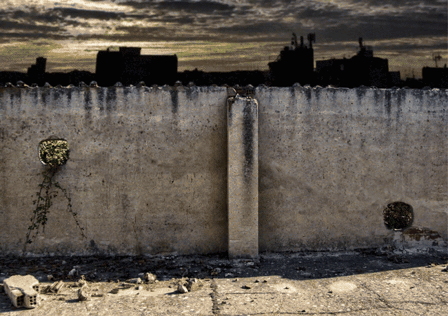 Telegram GIFs - Find & Share on GIPHY