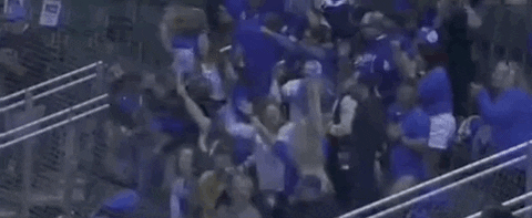 Virginia Tech Softball GIF by NCAA Championships - Find & Share on GIPHY