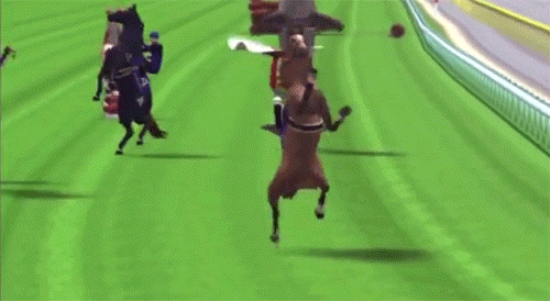 Finish GIF - Find & Share on GIPHY