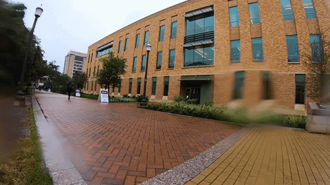 People College GIF by Texas A&M University - Find & Share on GIPHY