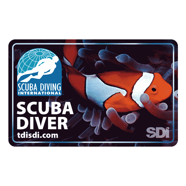 Scuba Diver Sticker by International Training for iOS & Android | GIPHY