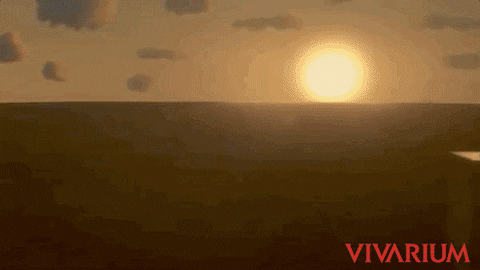 GIF by Vertigo Releasing - Find & Share on GIPHY