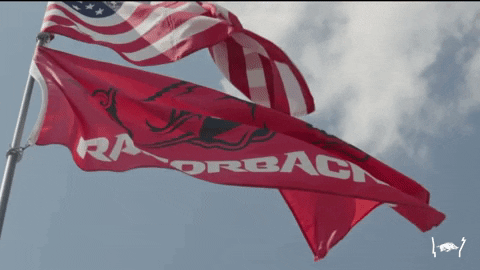 Hogs Go Hogs GIF by Arkansas Razorbacks - Find & Share on GIPHY