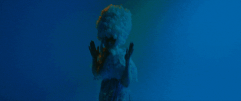 Sub Pop Rainbow GIF by Sub Pop Records - Find & Share on GIPHY