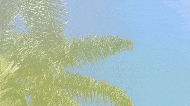 Avaylen GIF - Find & Share on GIPHY