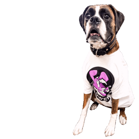Dog Love Sticker by Pet Qwerks for iOS & Android | GIPHY