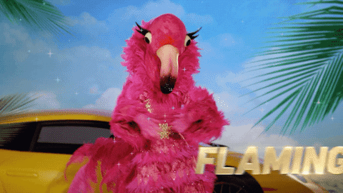 GIF by The Masked Singer - Find & Share on GIPHY