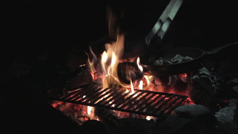 Camp Fire GIF by Jugendleiter-Blog - Find & Share on GIPHY