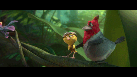 Rio GIF - Find & Share on GIPHY