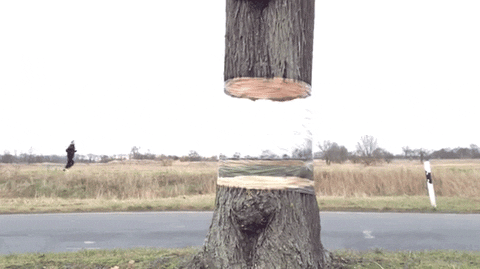 Trunk GIF - Find & Share on GIPHY