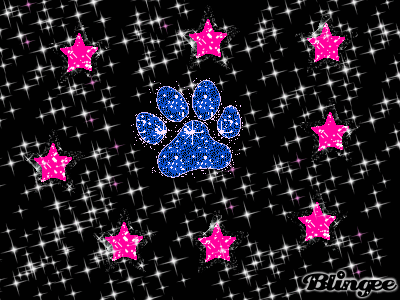 Paw GIF - Find & Share on GIPHY