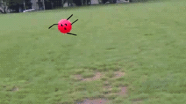 Ball GIF - Find & Share on GIPHY