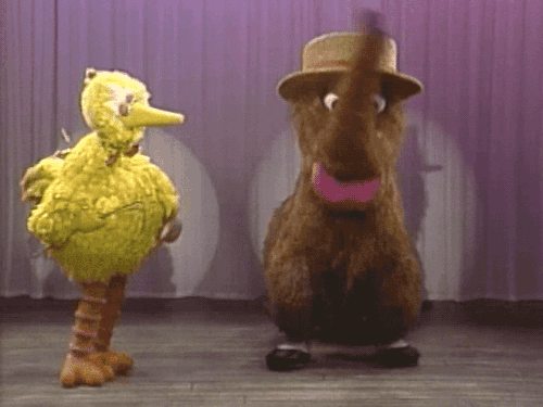 Big Bird S Find And Share On Giphy