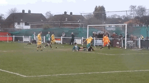 Goal Post GIF - Find & Share on GIPHY