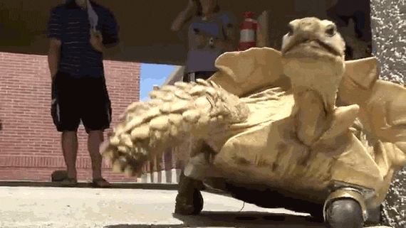 Conan Wheel Of Pain GIFs - Find & Share on GIPHY