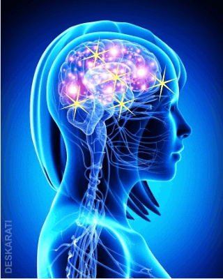 Brain GIFs - Find & Share on GIPHY