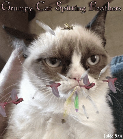 Grumpy GIF - Find & Share on GIPHY