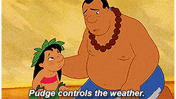 Hi, my name is Pudge and sometimes I trip on my ears. : aww