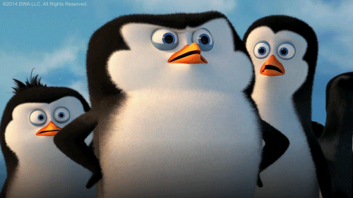Penguins GIFs - Find & Share on GIPHY