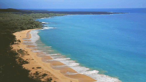 Maui S Find And Share On Giphy