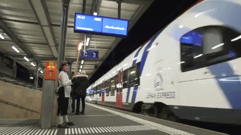 Train Trainspotting GIF by euronews - Find & Share on GIPHY