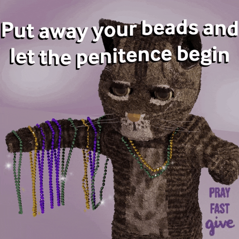 Ash Wednesday Cat GIF - Find & Share on GIPHY