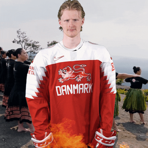 International Ice Hockey Federation GIF - Find & Share on GIPHY