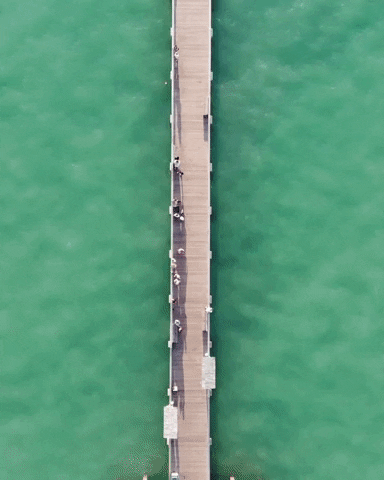 From Above Ocean GIF by Chris - Find & Share on GIPHY