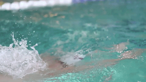 Swimming GIF by Roanoke College - Find & Share on GIPHY