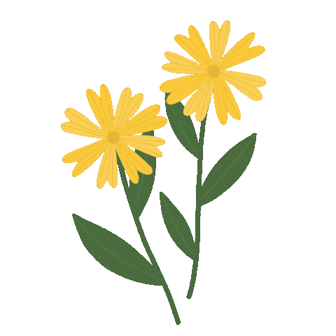 Flower Sticker for iOS & Android | GIPHY