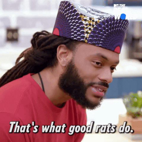 Season 1 Episode 6 GIF by Real World on Watch - Find & Share on GIPHY