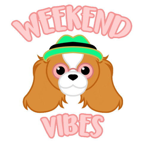 Animated Sticker for iOS & Android | GIPHY