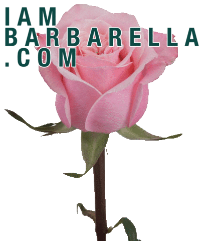 Pink Rose Aob Sticker by Barbarella for iOS & Android | GIPHY