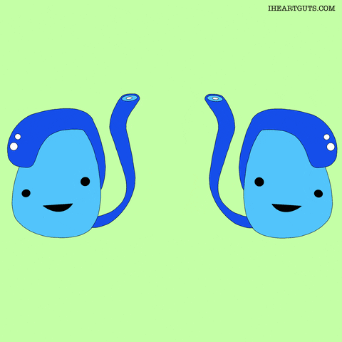 Testicles GIFs - Find & Share on GIPHY
