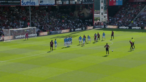 Football Soccer GIF by AFC Bournemouth - Find & Share on GIPHY