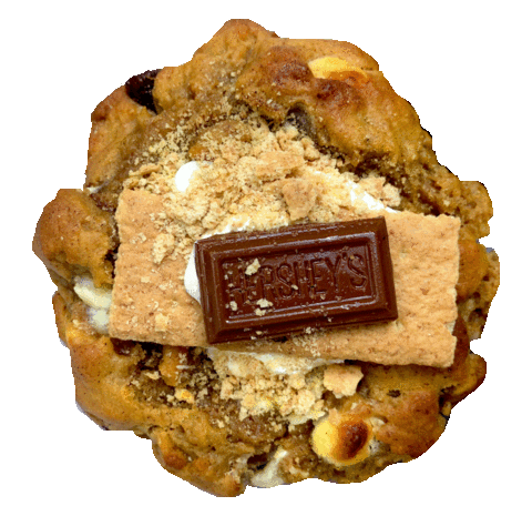Chocolate Cookie Sticker by big.fat.cookie for iOS & Android | GIPHY