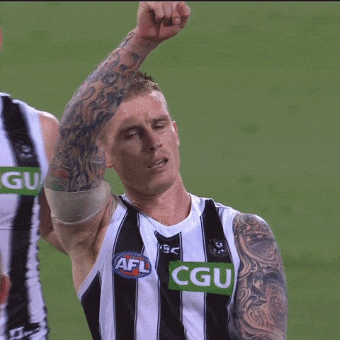 CollingwoodFC GIF - Find & Share on GIPHY