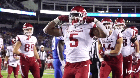 College Football GIF by Arkansas Razorbacks - Find & Share on GIPHY