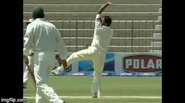 Moments Cricket GIF - Find & Share on GIPHY